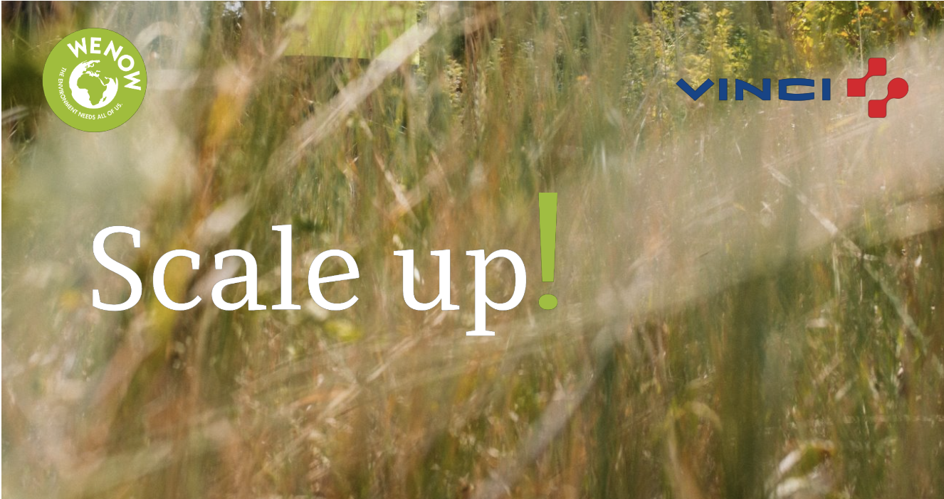 Le nouveau programme Scale up ! accompagne 19 projets finalistes du ...